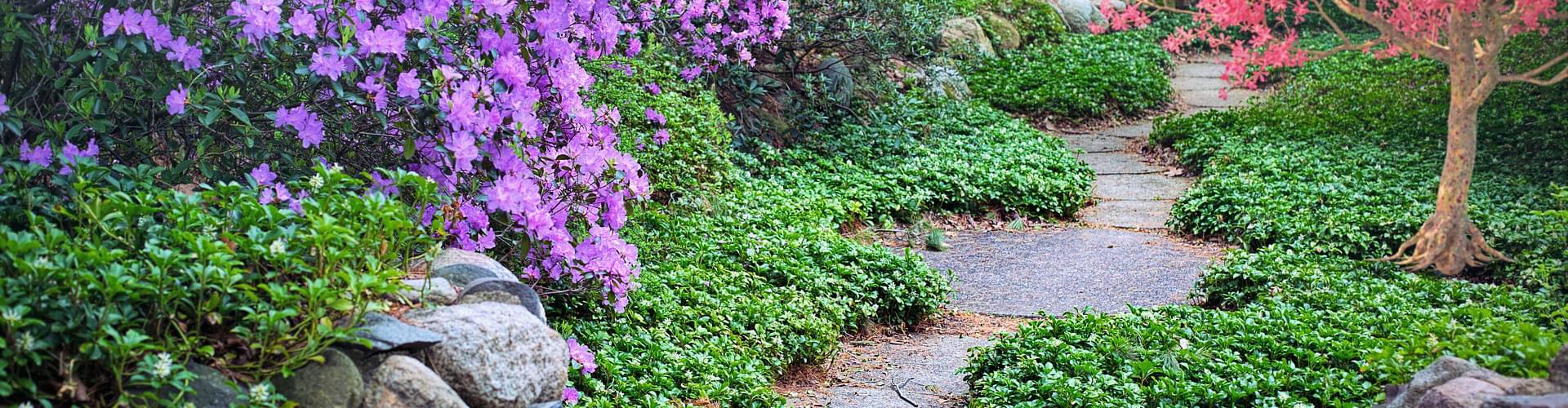 Exploring Different Types of Garden Paths: Choosing the Right Style