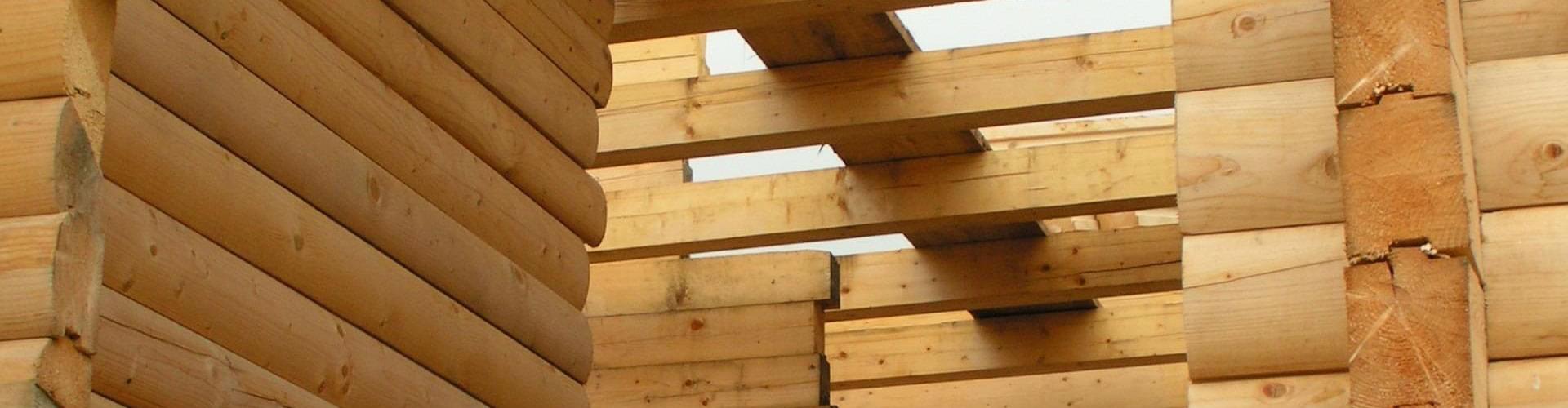 Timber Cladding for Modern Garden Offices and Studio Spaces